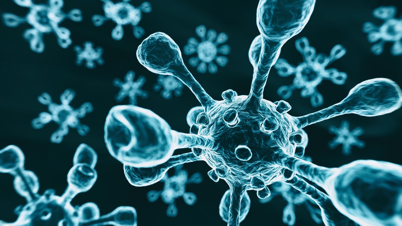 Coronavirus World infection map